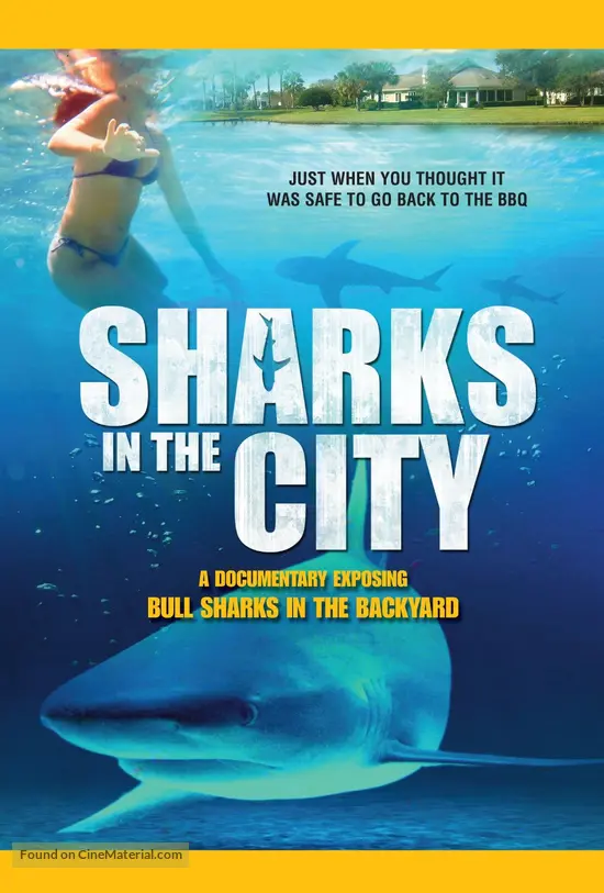 Sharks in the City: Bull Sharks in the Backyard (2011) dvd movie cover