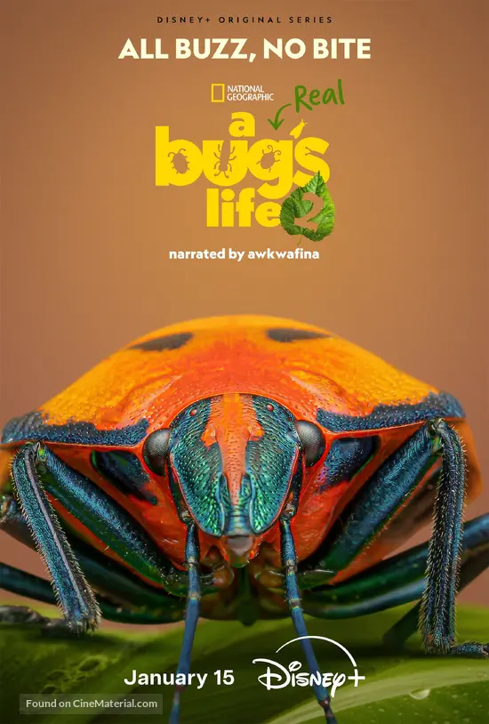 Bugs Life Movie Poster A Bug's Life (1998) Poster US 1535*2126px