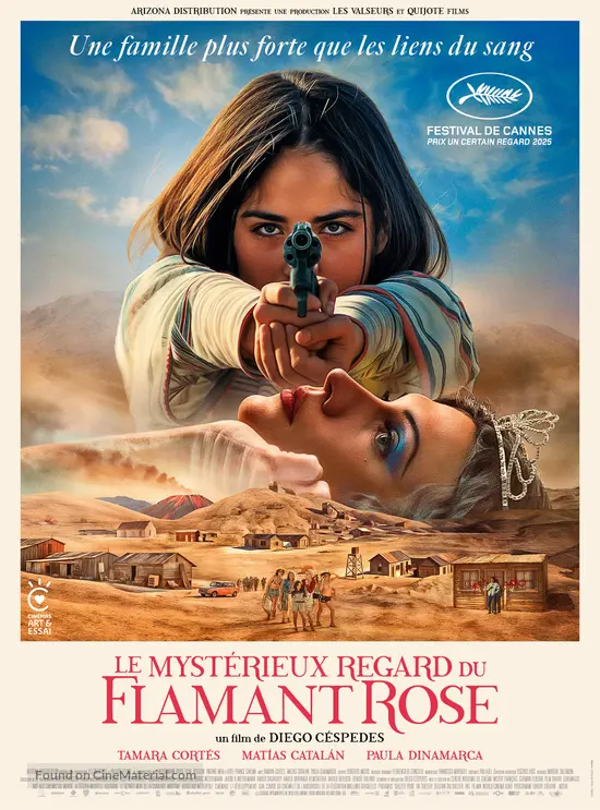 La misteriosa mirada del flamenco (2025) French movie poster