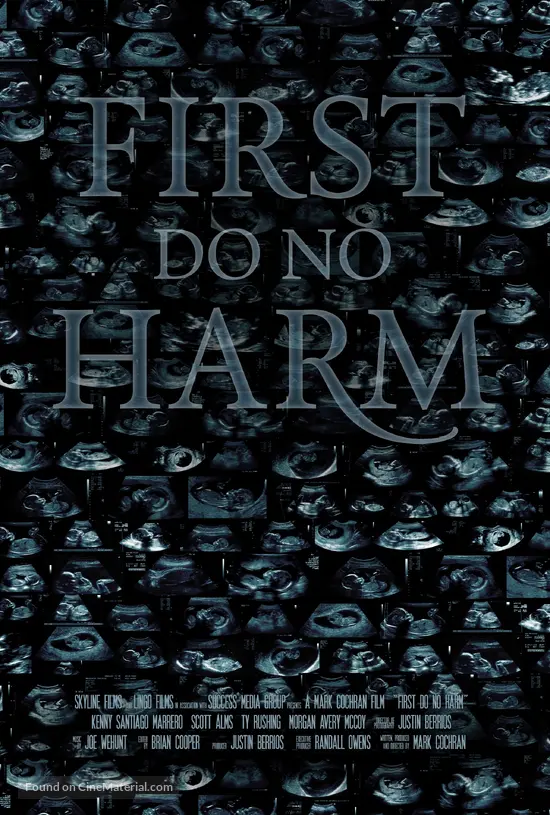 First, Do No Harm (2014) movie poster