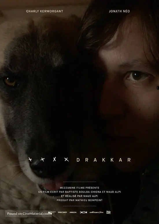 Drakkar (2015) French movie poster