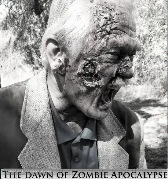 The Dawn of Zombie Apocalypse (2018) movie poster