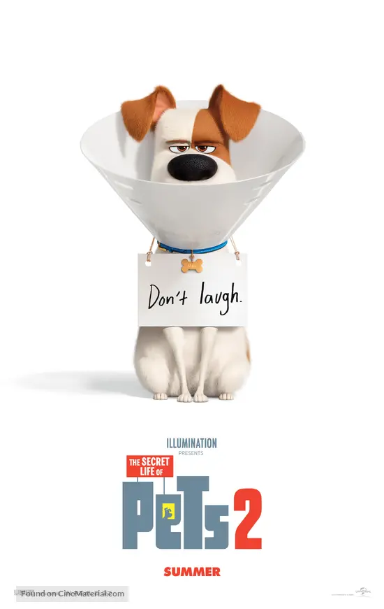 The Secret Life of Pets 2 (2019) teaser movie poster