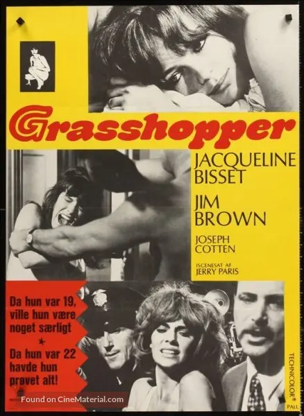 The Grasshopper (1970) movie poster