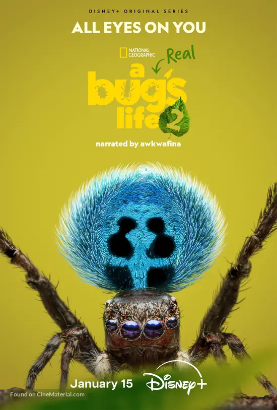 "A Real Bug's Life" (2024) movie poster
