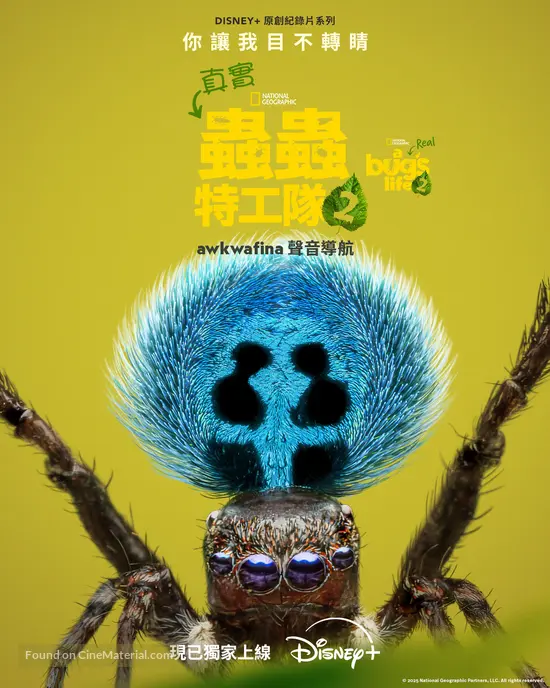 "A Real Bug's Life" (2024) Hong Kong movie poster