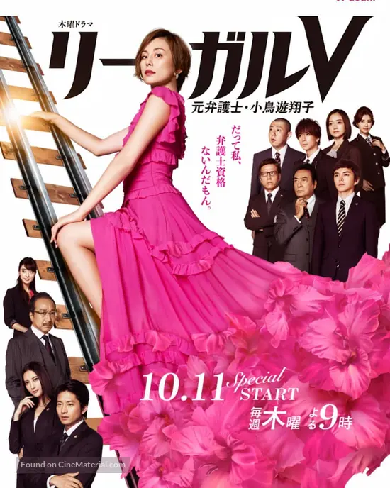 Legal V ~ Moto Bengoshi Takanashi Shôko (2018) Japanese movie poster